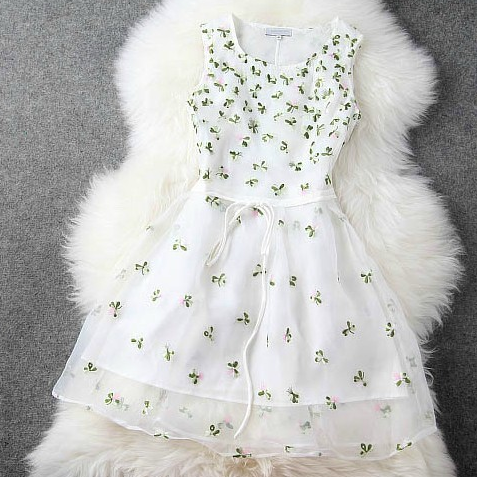 Slim Spring And Summer Floral Embroidery Princess Dress on Luulla